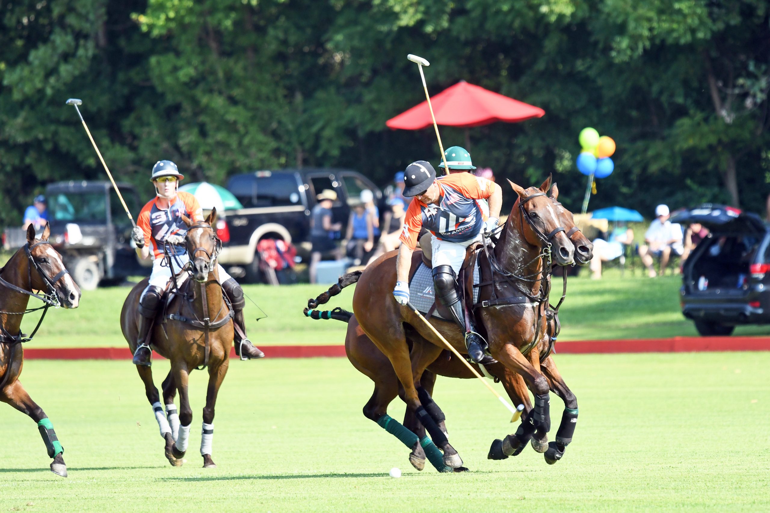 Endangered Wolf Center | Seventh Annual Polo Classic | Town&Style